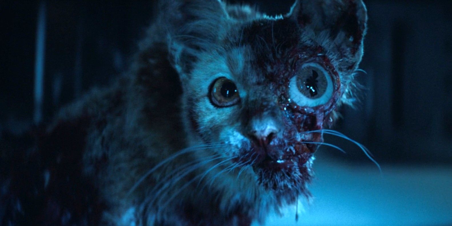 Alien: Earth – T. Ocellus (espèce 64) expliqué : origine, pouvoirs ...