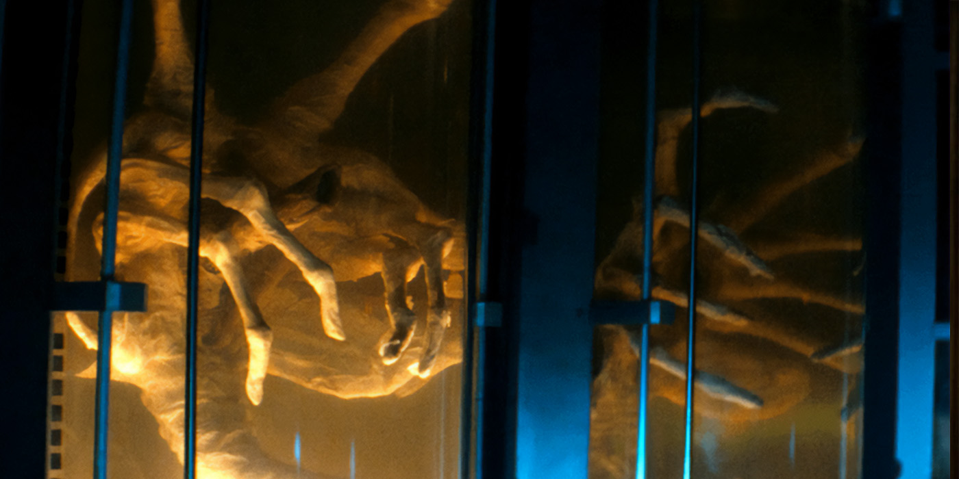 Alien: Earth – les Facehuggers : rôle, cycle et apparitions expliqués