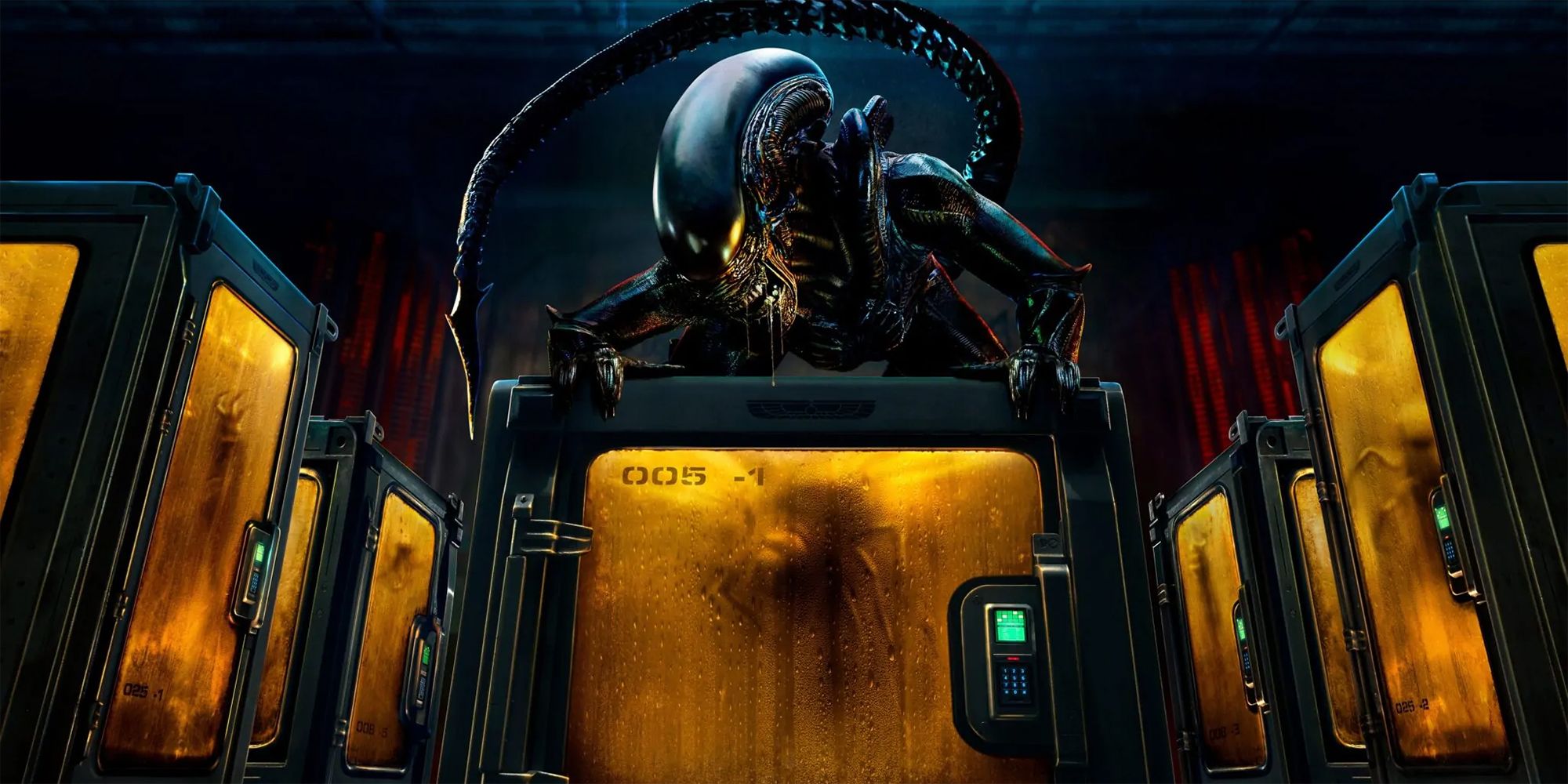 Alien: Earth Saison 2, c'est officiel : info, date de sortie