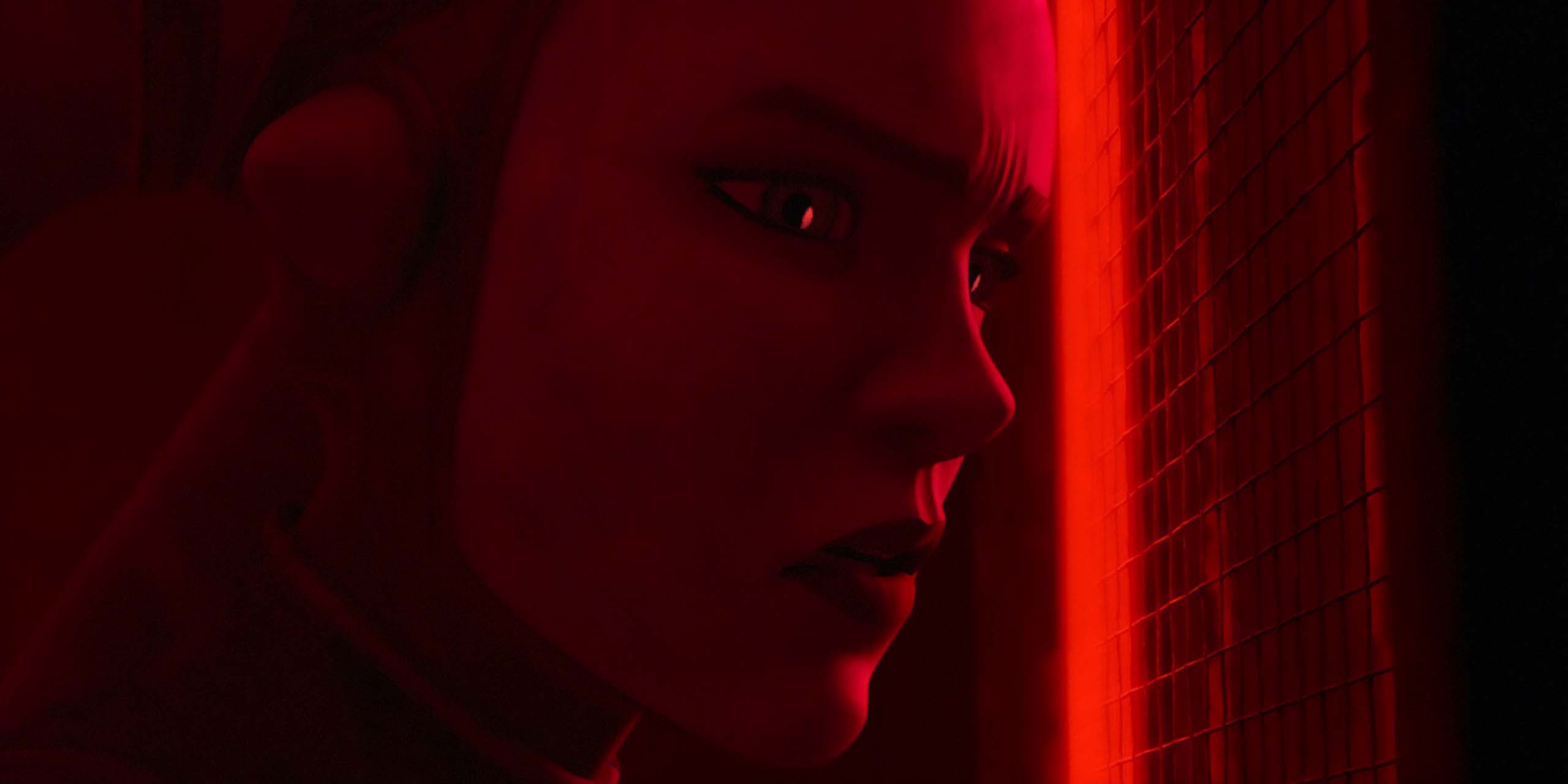 Star Wars : Maul - Seigneur de l'Ombre : date, trailer ...